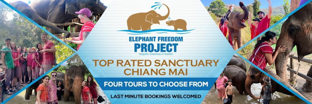 Available Tours - Elephant Freedom Project Chiang Mai Thailand